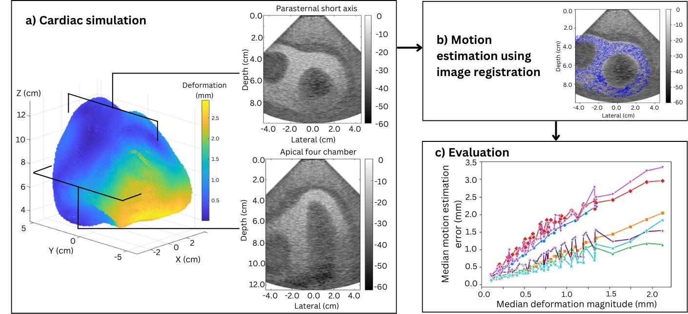 Image-based motion correction.